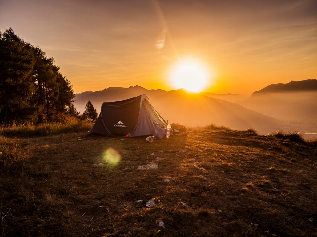 Camping avec son chien : guide 2026 dog-friendly | VAMC